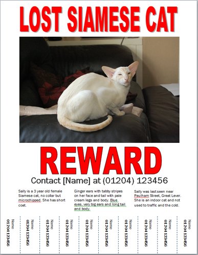 Missing Cat Poster How To Make A Lost Cat Poster