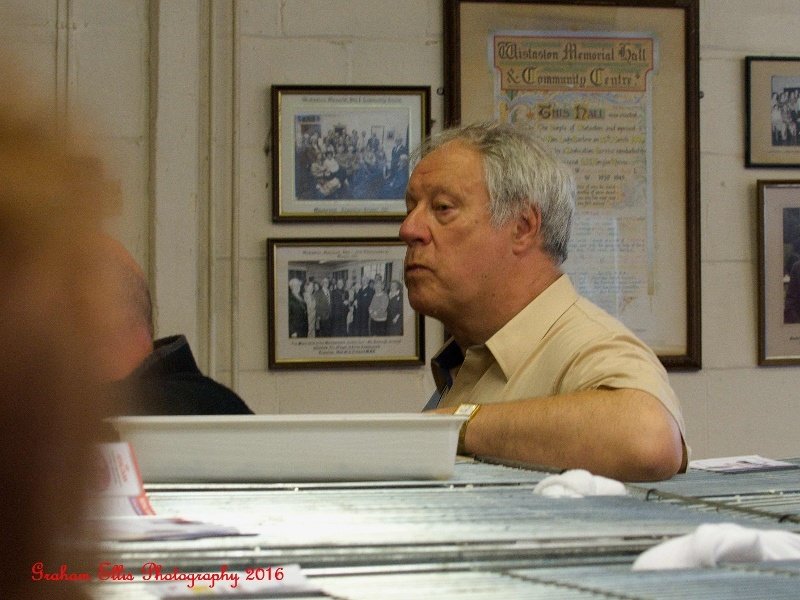 Havana & Oriental Lilac Siamese and Oriental Pictures 2016